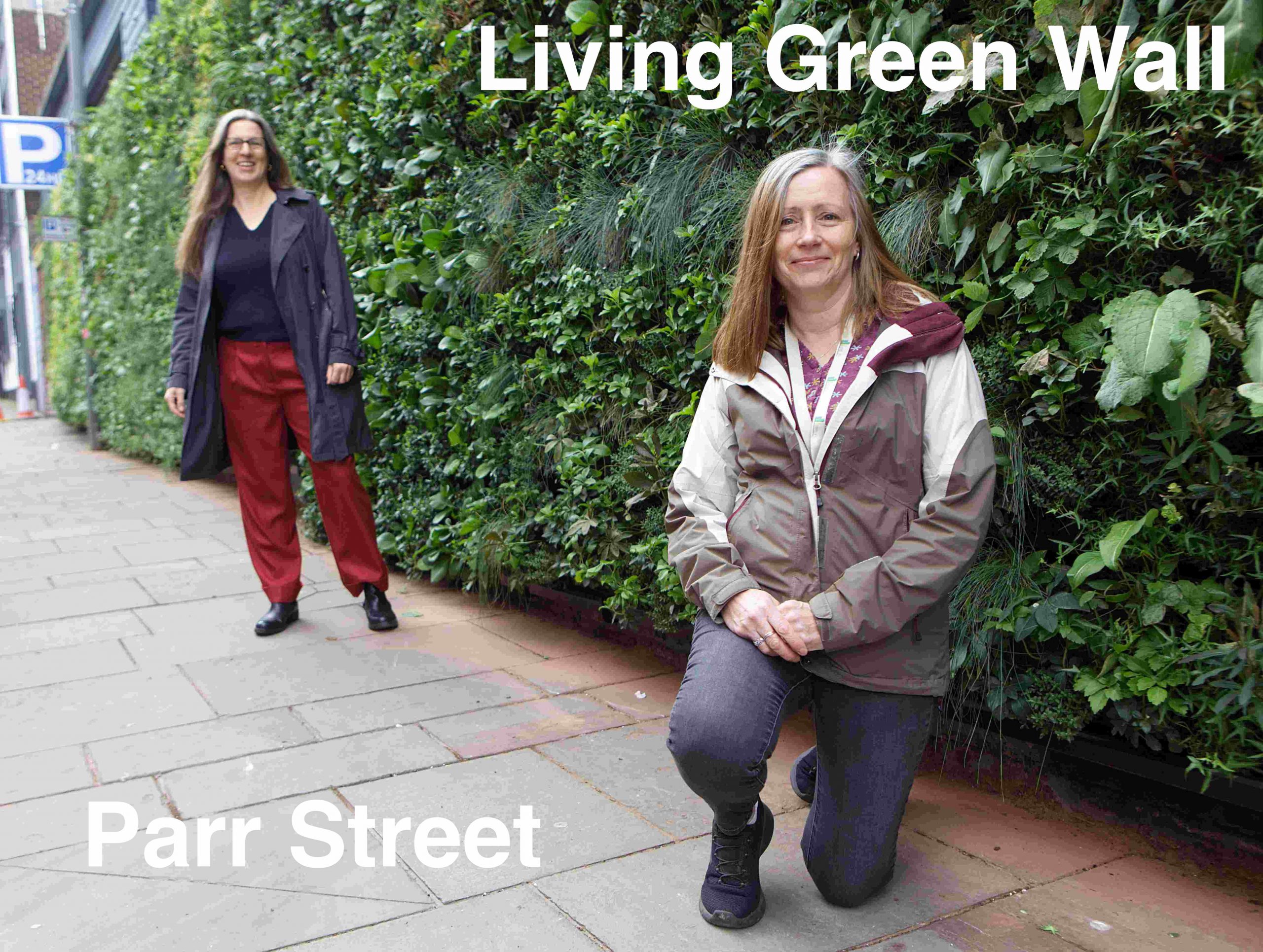Parr Street Living Green Wall - Liverpool Express