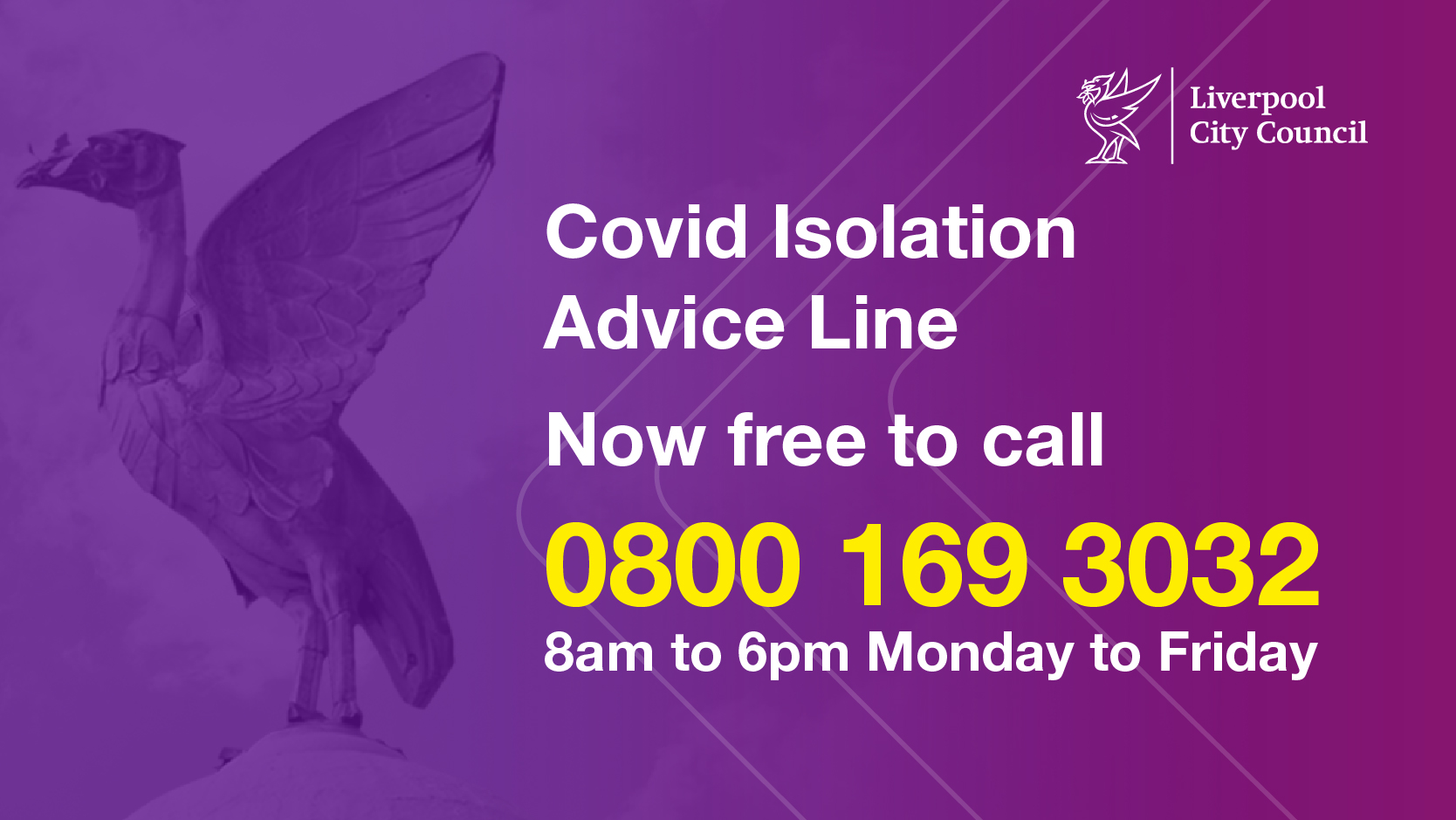 Covid isolation advice line now free to call - Liverpool Express